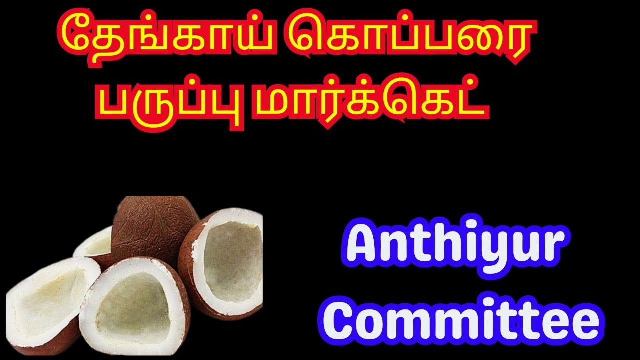 Anthiyur Copra Price Update | கொப்பரை தேங்காய் விலை அந்தியூர் - YouTube