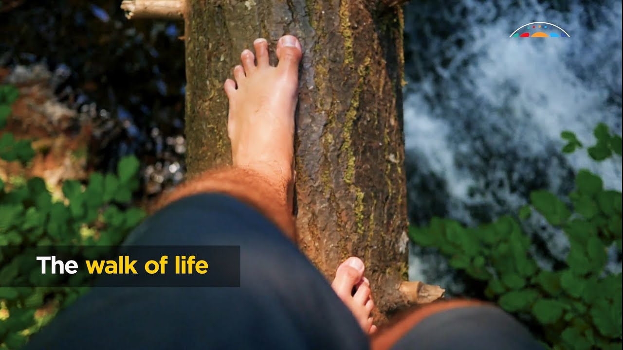 Walk of life - YouTube