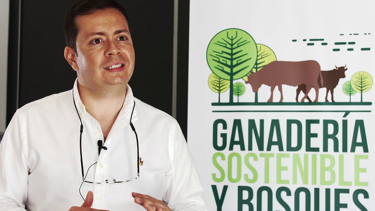 Julián Reyes - Grupo Éxito, Colombia - YouTube