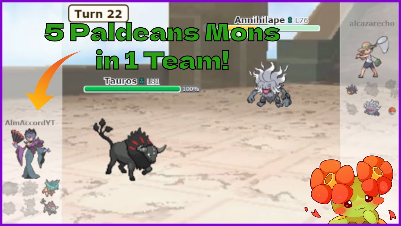 Paldea only Wrecks!【Pokemon Scarlet & Violet】High Ladder Showdown - YouTube