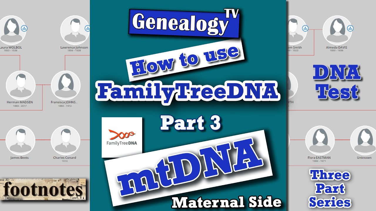 FamilyTreeDNA: Mitochondrial DNA Test (The Maternal Line) Part 3 of 3 ...