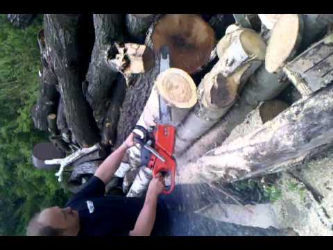 Dolmar 7900 chainsaw - YouTube