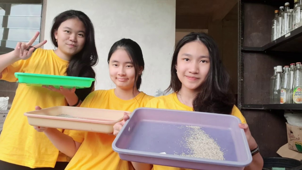 Junior High activities 2019-2020 - YouTube