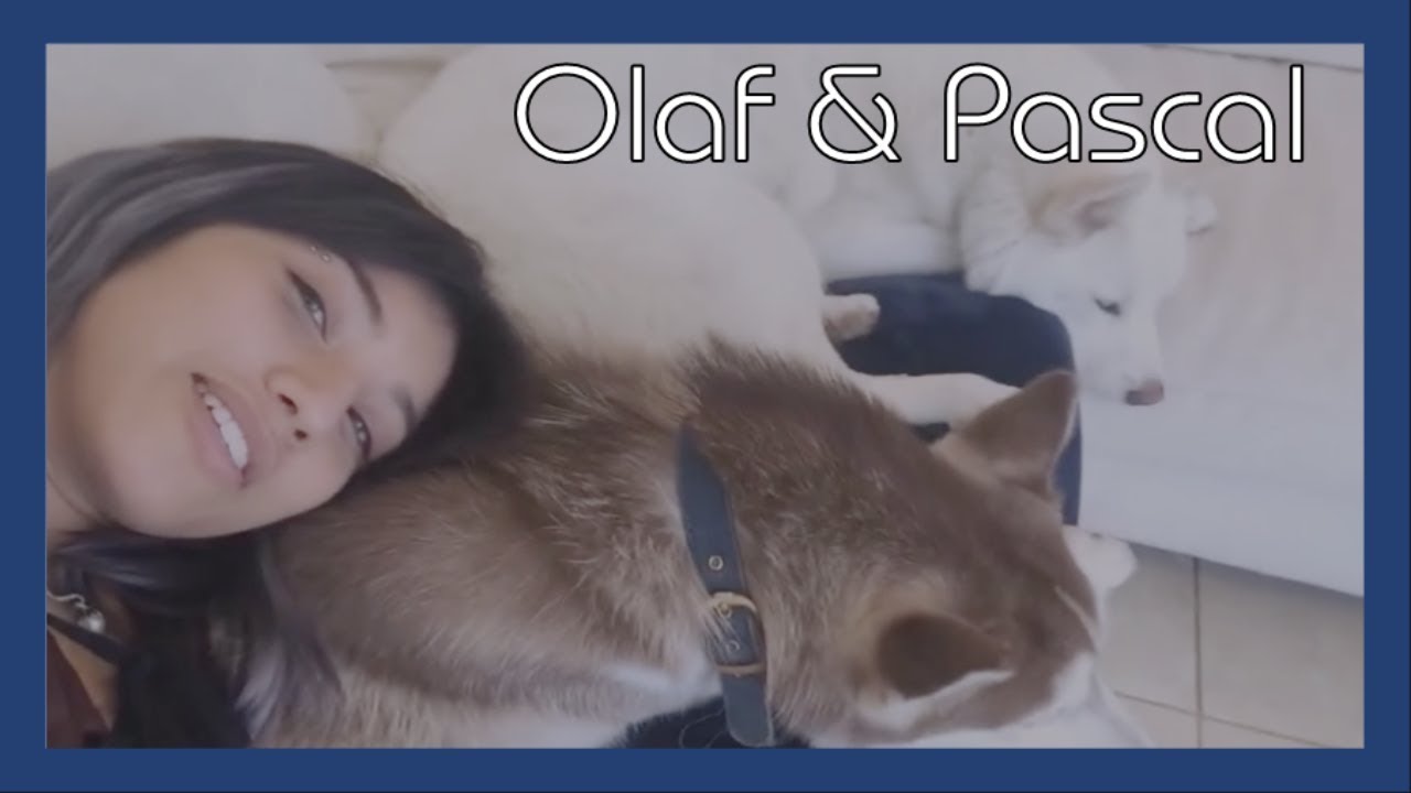 Olaf And Pascal (Kirstin Maldonado) #2 - YouTube
