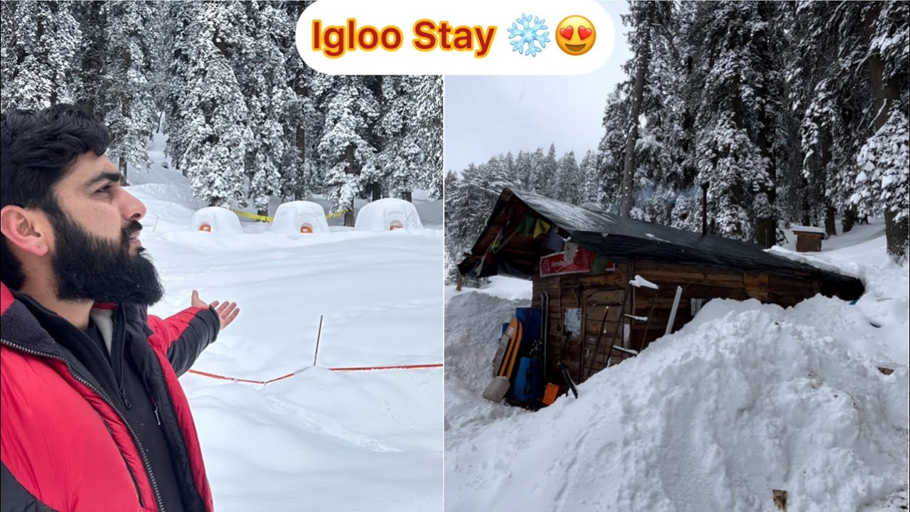 Igloo Stay Hamta Pass Sethan | Manali 2023 | Snowfall latest video ...