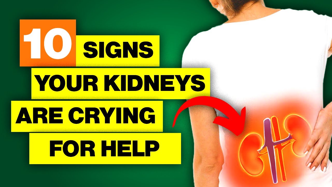 10 Alarming Signs Your Kidneys Are Crying for Help! - YouTube