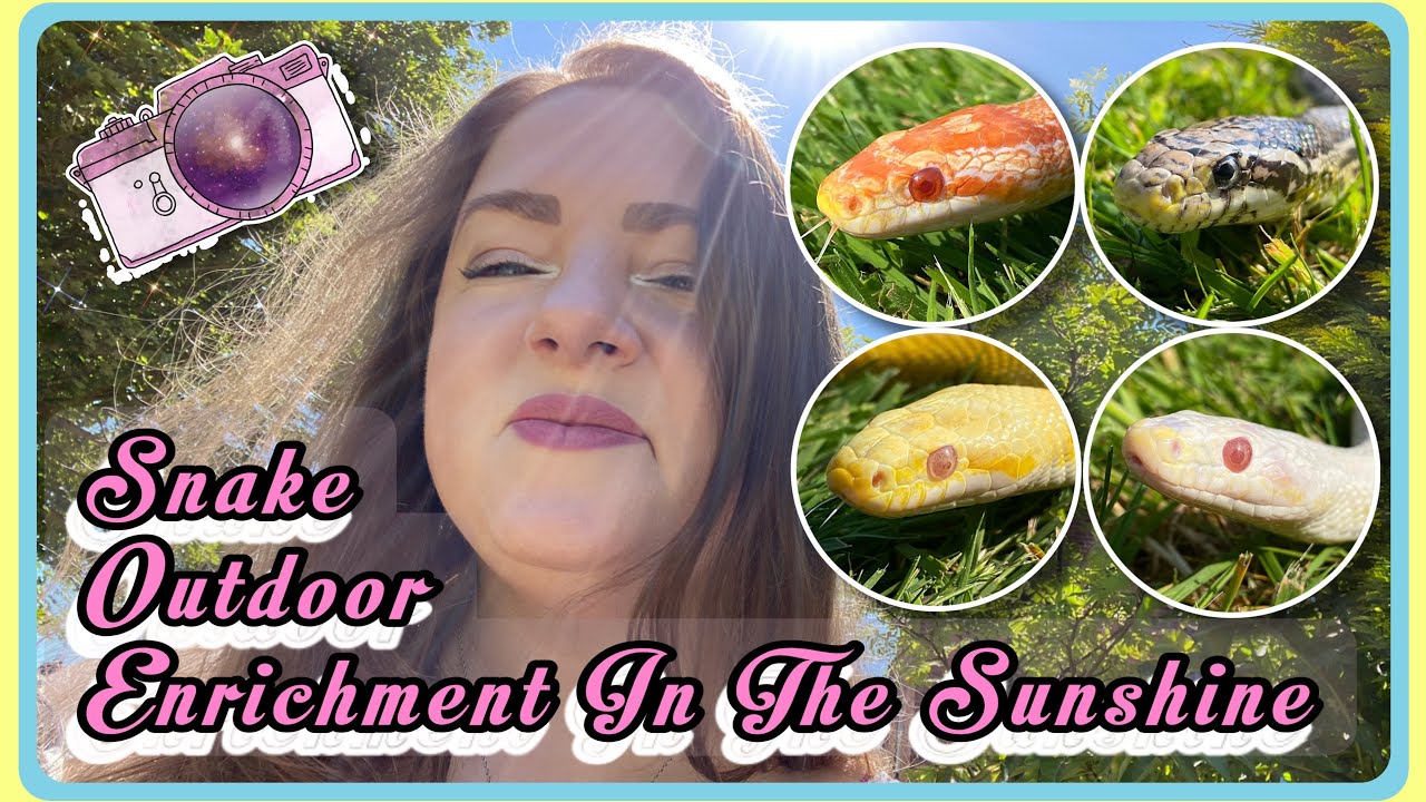 Snake Enrichment ||Outdoor Edition|| ~Ellie Snake Lady~ - YouTube