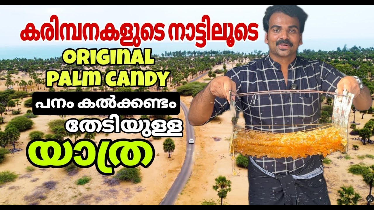 how to make palm candy at home in tamil nadu |the process of palm candy ...