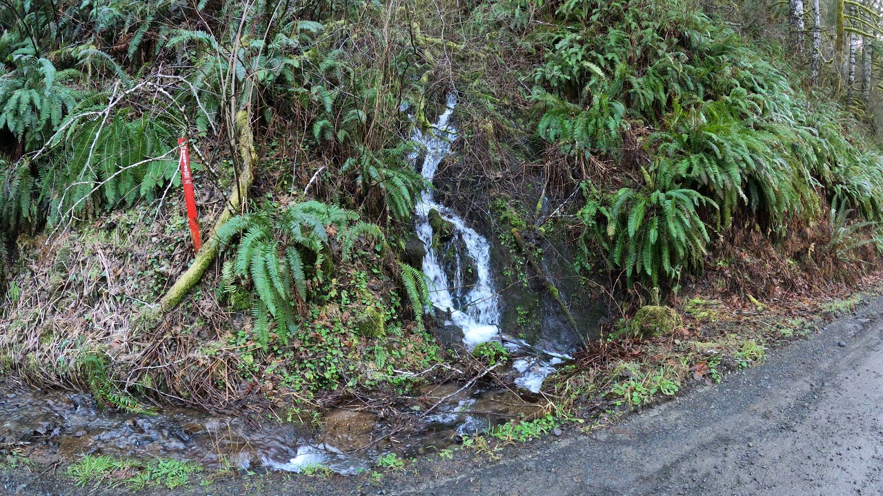 waterfall 12, video 1, 5k 30fps 2880p30 - YouTube