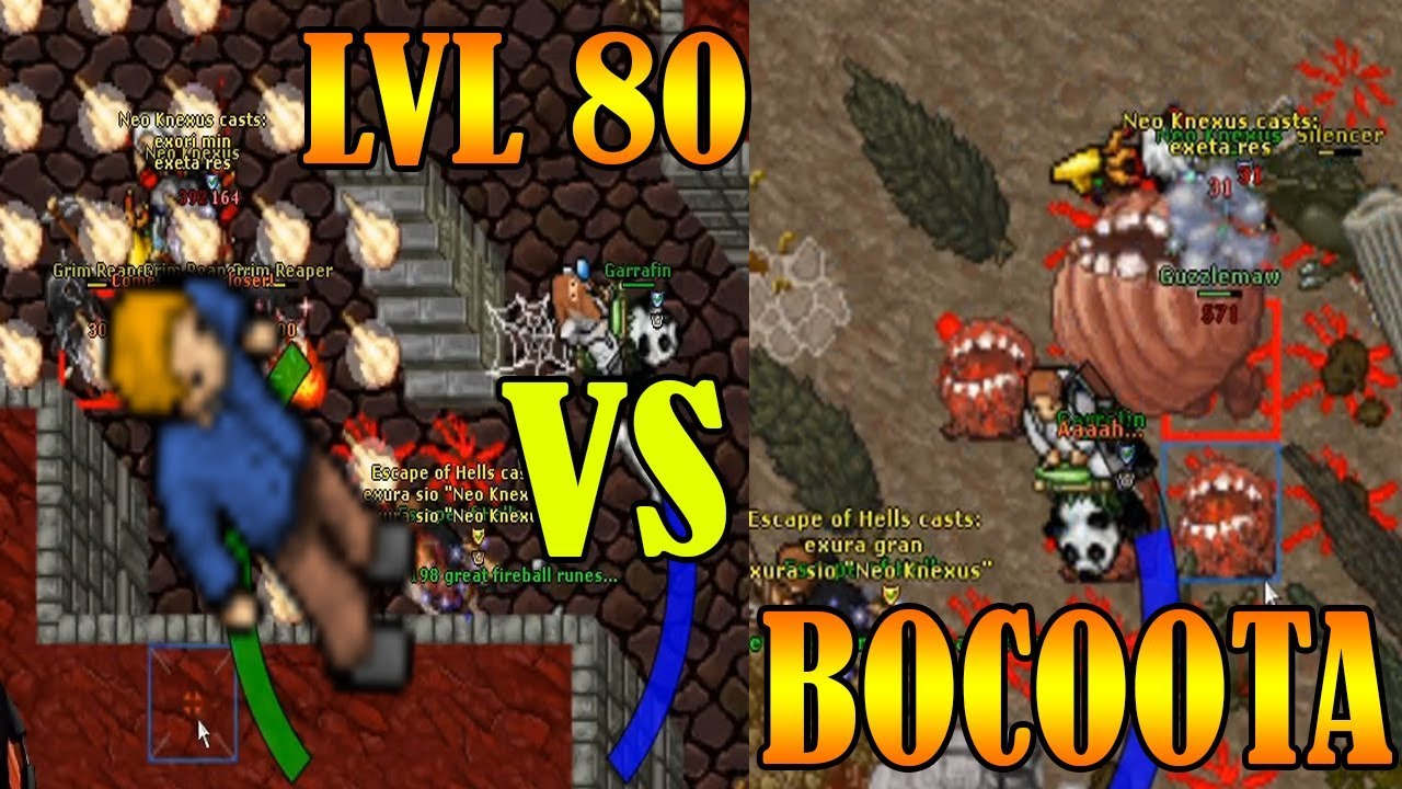 NOOB SQUAD || LVL 80 VS BOCOTA? - Tibia - YouTube