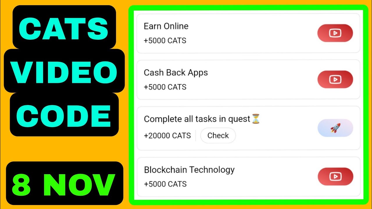 Cats All Videos Codes Today 8 November | Cats YouTube Video Code Today ...