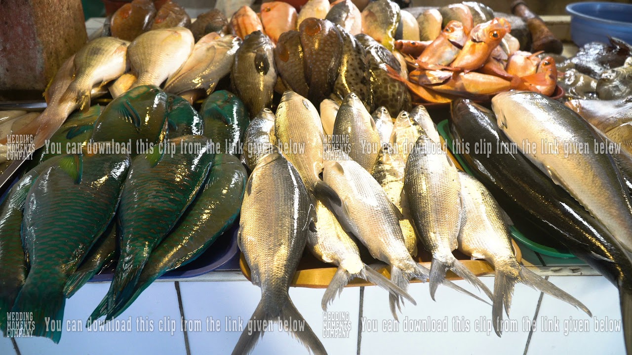 Fish in Asian market. - YouTube