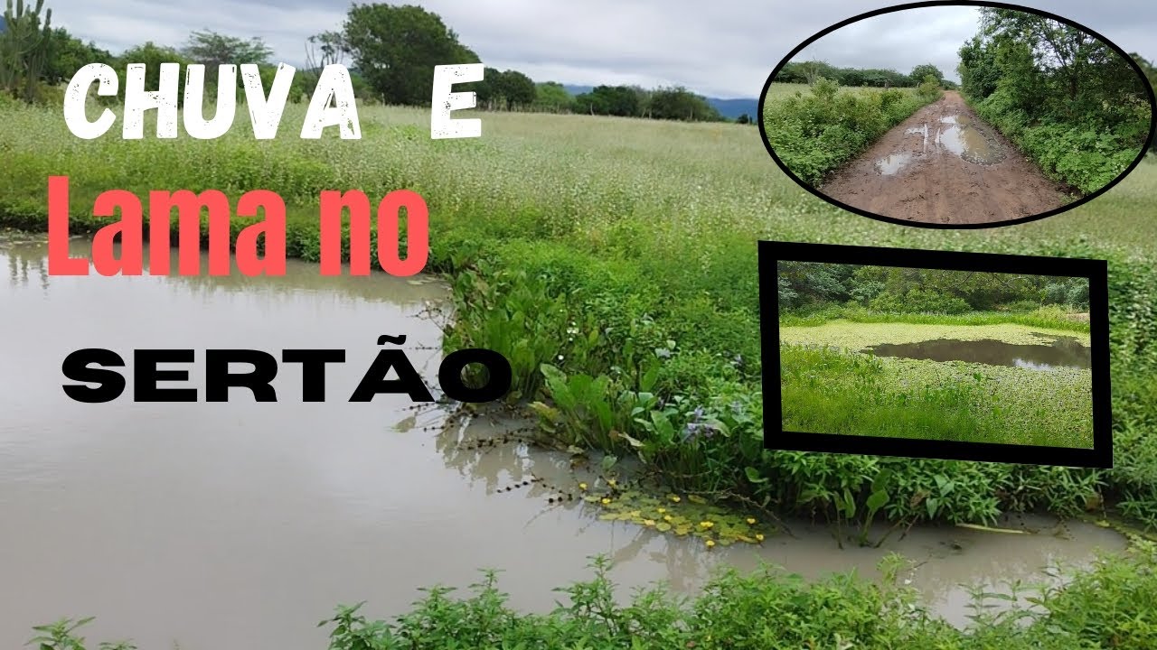 chuva, água e Lama no sertão de Alagoas - YouTube