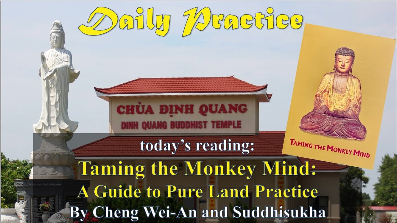 69 Taming the Monkey Mind--A Guide to Pure Land Practice by Cheng Wei-an and Suddhisukha - YouTube