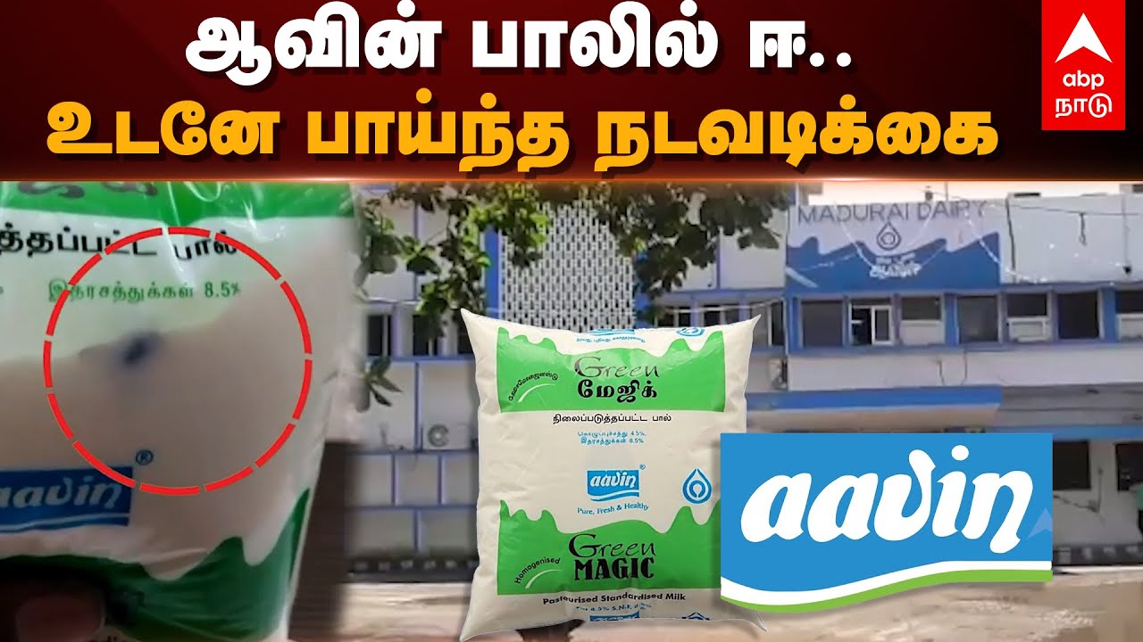 ஆவின் பாலில் ஈ...உடனே பாய்ந்த நடவடிக்கை | Aavin Milk Packet Issue ...