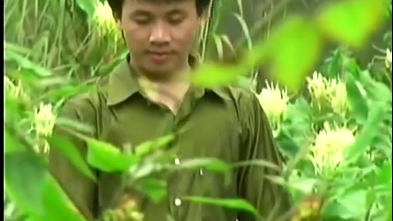 Mab sua lis - Tuag Tsawg tiam los tseem hlub karaoke - YouTube