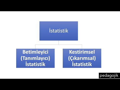 Betimsel (Tanımlayıcı) / Kestirimsel (Çıkarımsal) İstatistik