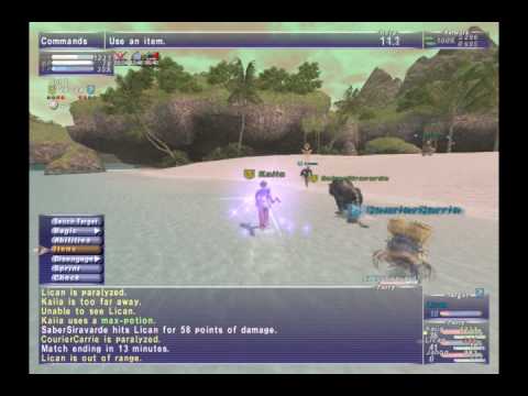 FFXI: BST vs. BST BLU SMN - YouTube