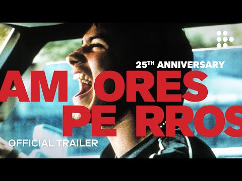 AMORES PERROS | Official Trailer | Now Streaming