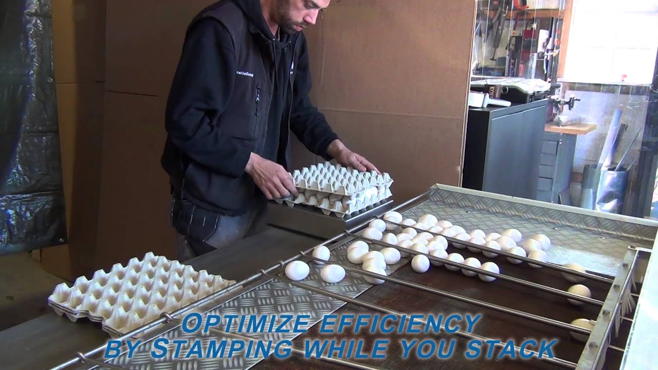 Nuovo Egg Stamper - Manual stamping on Grader - YouTube