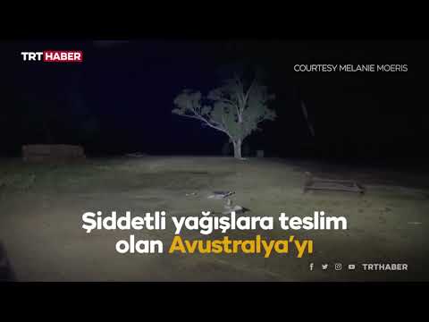 Deve Katili Avustralya'dan Fareler İntikam Alıyor.