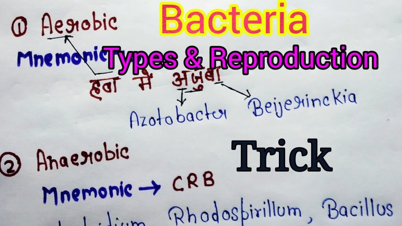Trick/Mnemonic to learn Bacteria Types & Reproduction in Bacteria ...