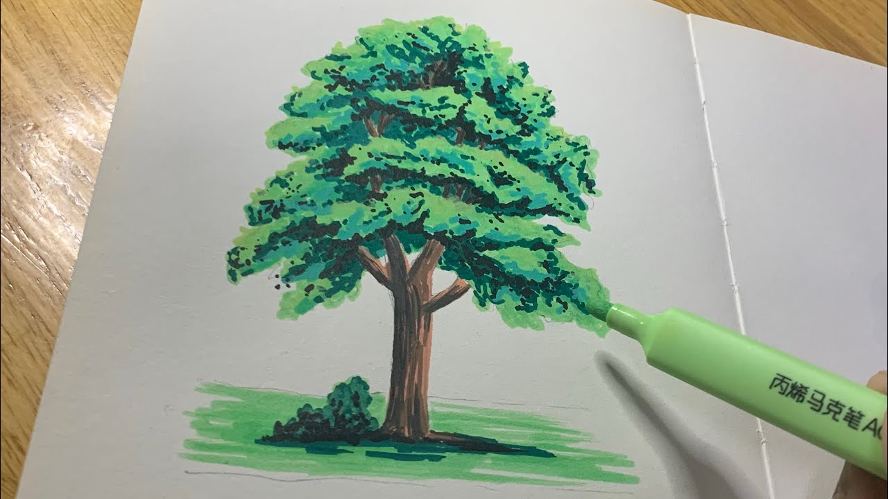How to draw a tree easily (beginner level) 10$ cheap Acrylic pens 🌳 # ...