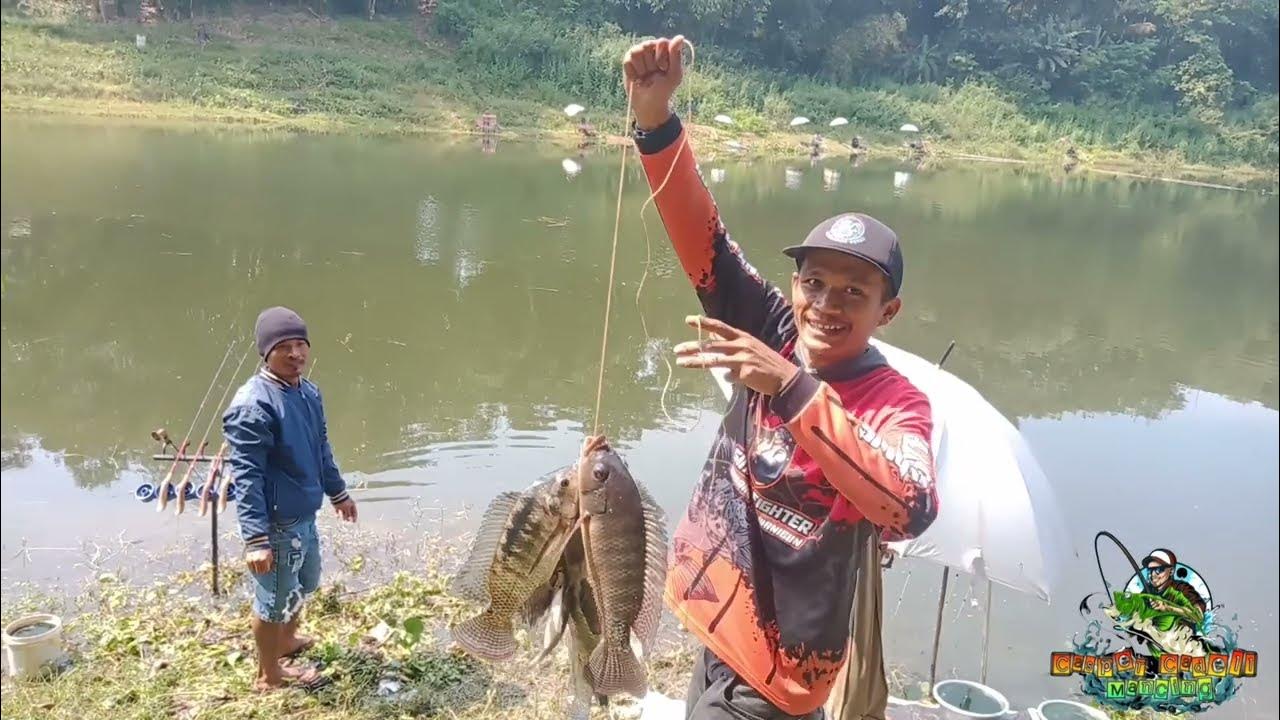 Pemancing viral!!! Panen ikan Saguling ||Mancing Saguling Terbaru 2023||| - YouTube