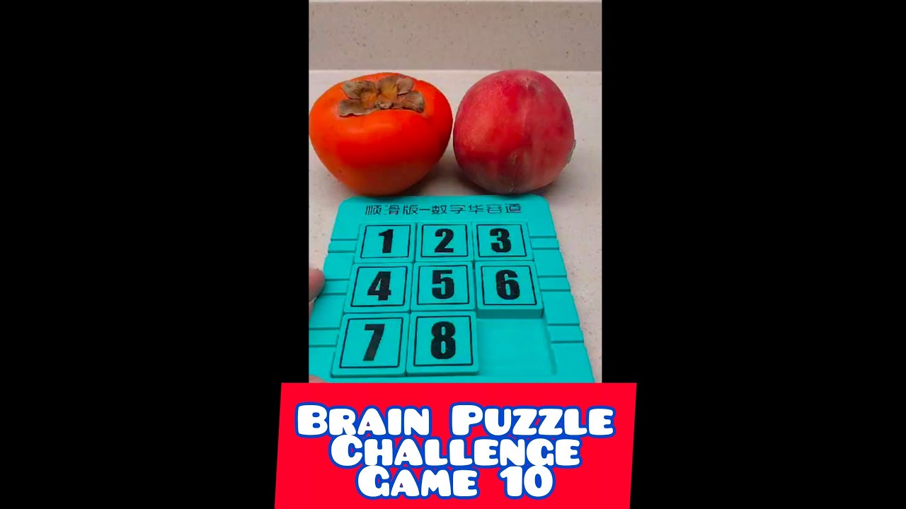 HUARONG DAO BRAIN PUZZLE / BRAIN CHALLENGE PUZZLE 10 - YouTube