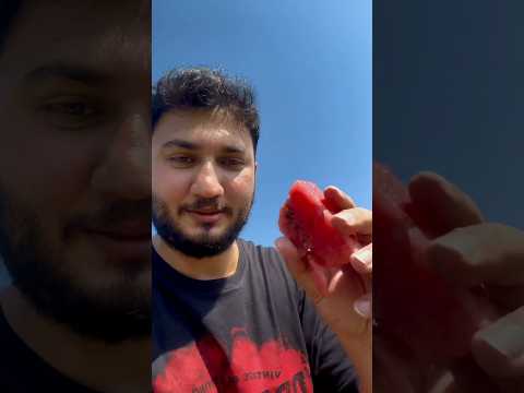 Yaxşı qarpızı necə seçək? | Qarpızın vətəni haradır? #qarpız #yay #shorts