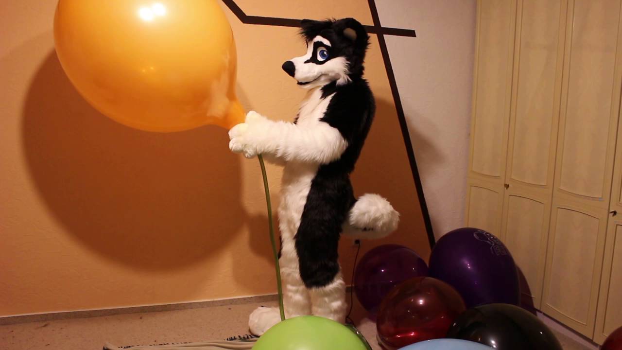 Fursuit Balloon pop - YouTube