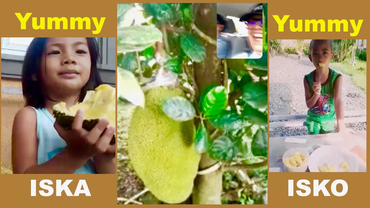 ISKA ISKO & ME In LOREZA Farm "If You Plant, You Will Harvest For Food ...