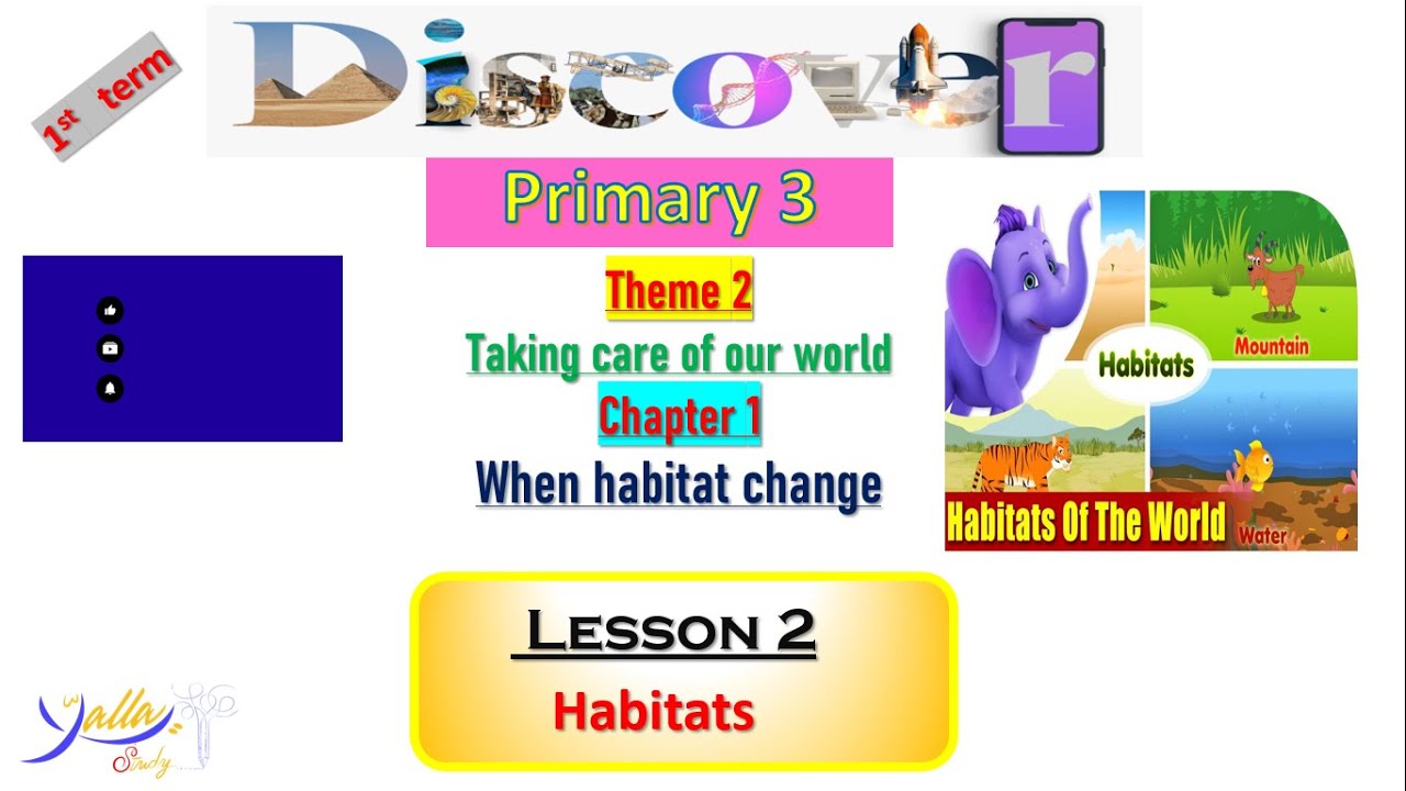 Discover chapter 1 lesson 2 theme 2 primary 3 first term - YouTube