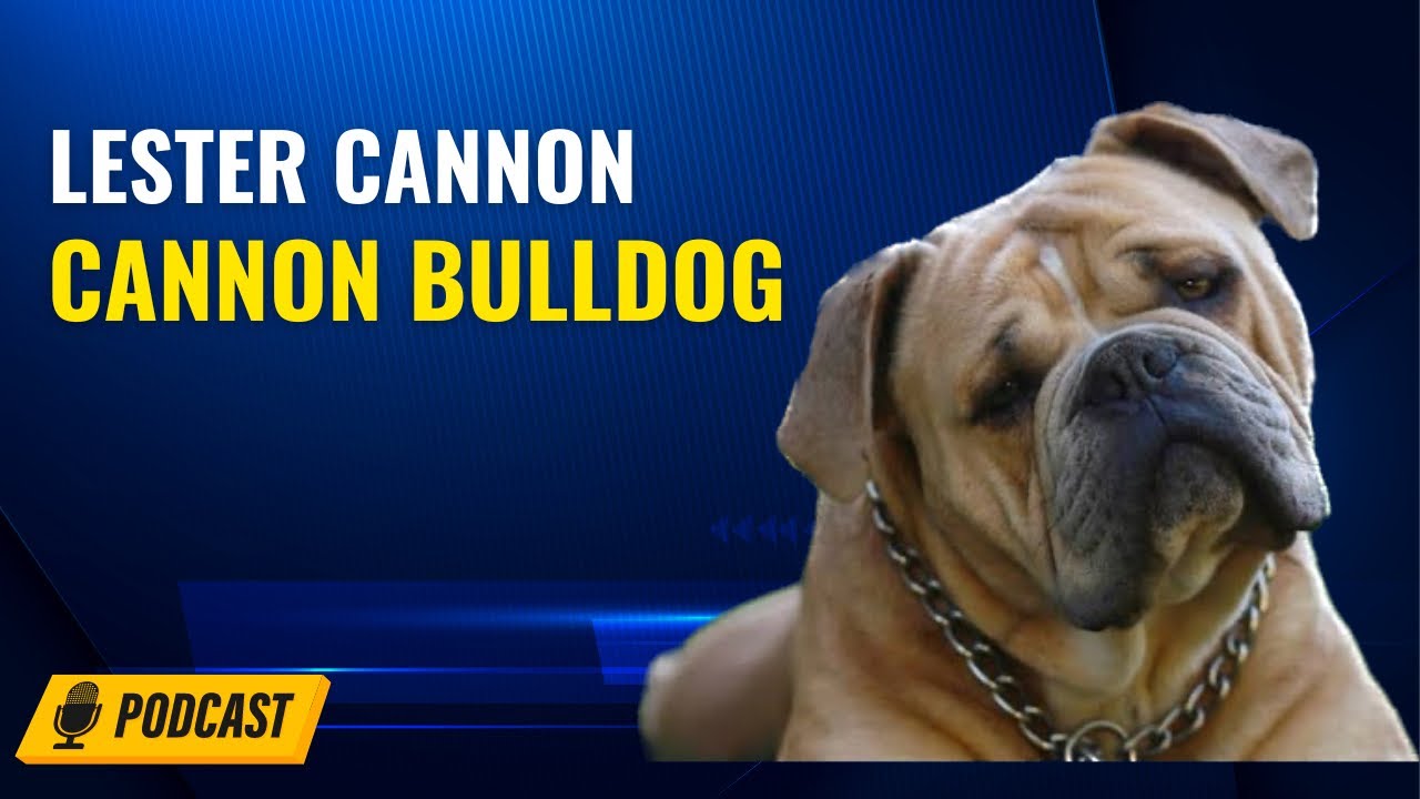 Episode 73: Lester Cannon from Cannon Bulldogs - YouTube