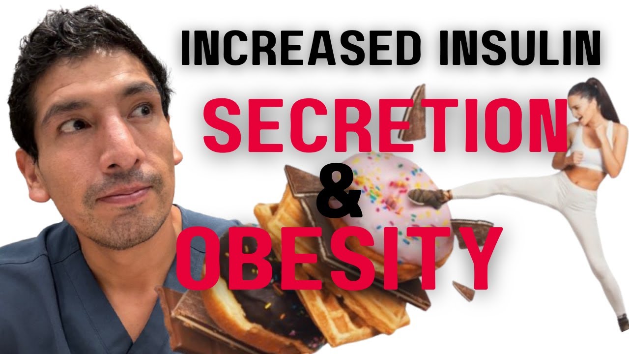 INCREASED INSULIN SECRETION AND OBESITY | DR MUNOZ - YouTube