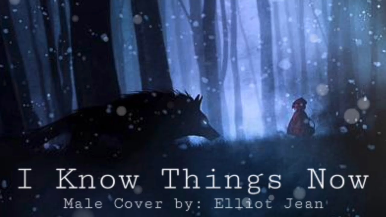 I Know Things Now (Into the Woods) Male Cover by Elx Dare - YouTube