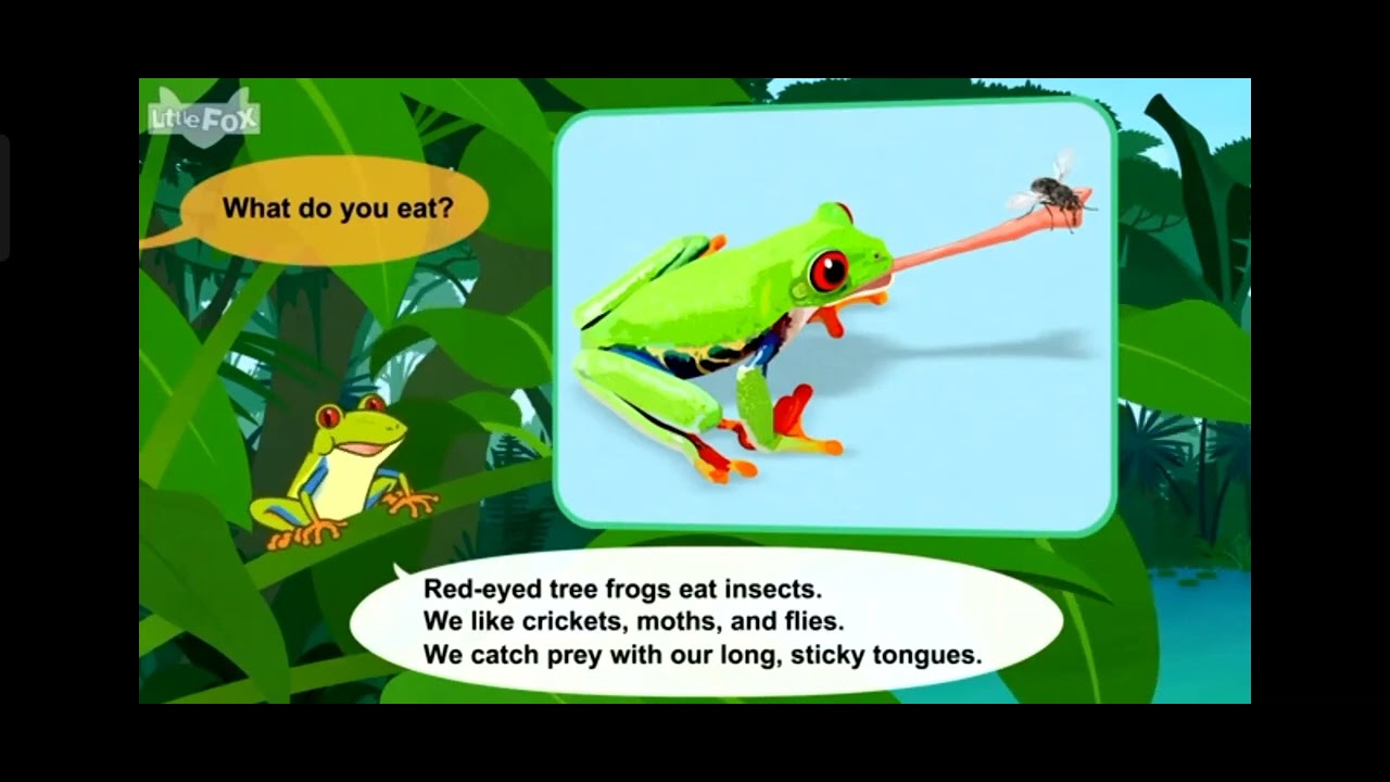 meet the animals 31-35 - YouTube