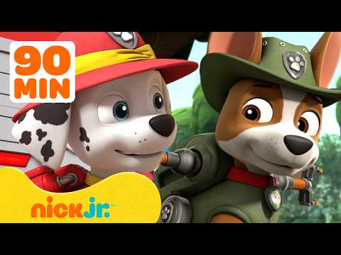 Paw Patrol | ¡PAW Patrol: rescates en equipo y aventuras! #3 💗 90 min | Nick Jr. en Español