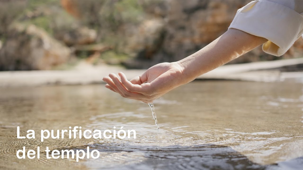 La purificación del templo - YouTube