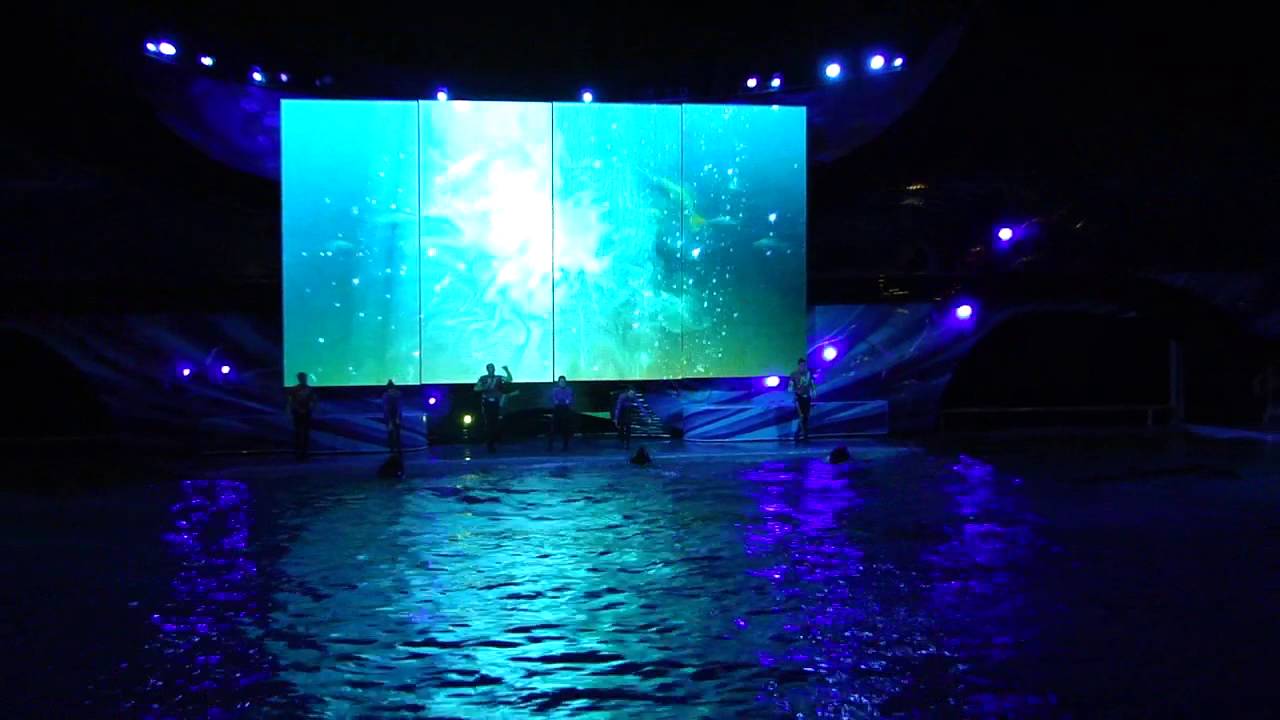 Shamu Rocks at SeaWorld Orlando - 2013 Version with Fireworks (FULL ...