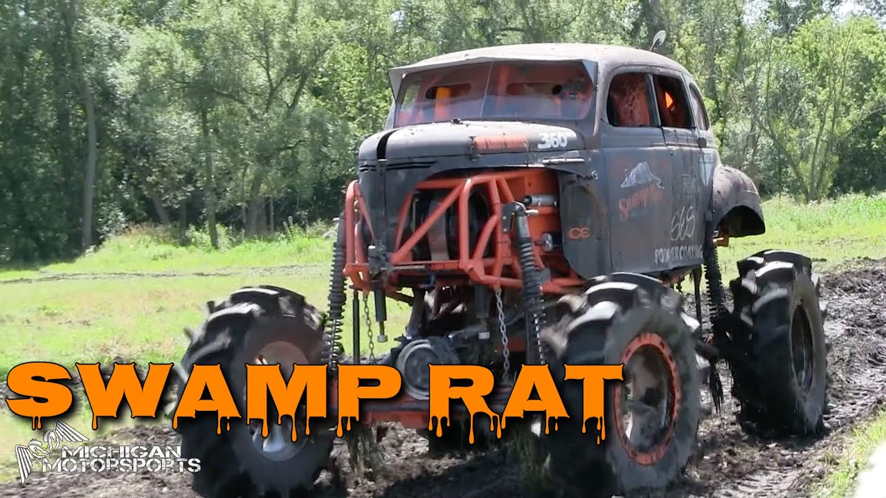 Swamp Rat - YouTube