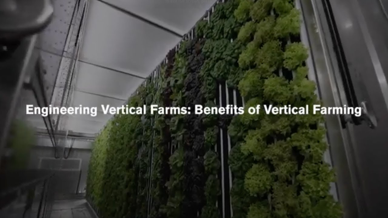 Engineering Vertical Farms: Benefits of Vertical Farms - YouTube