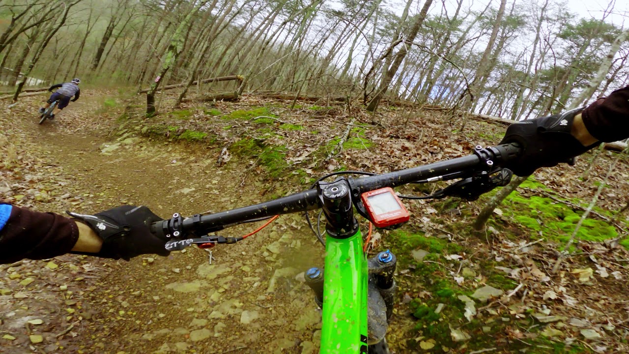 White Oak Mountain - Cottontail - Blind Run with Adam Camp - YouTube