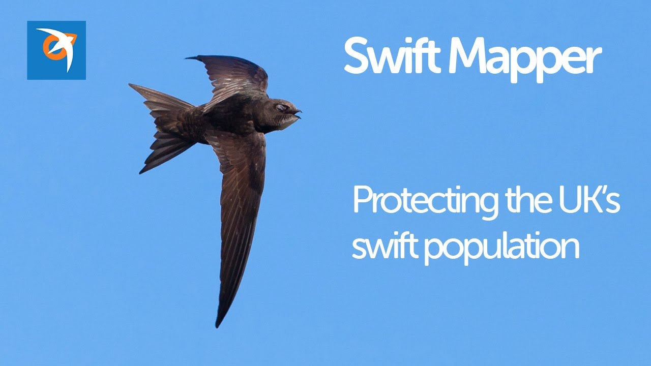 Swift Mapper - YouTube