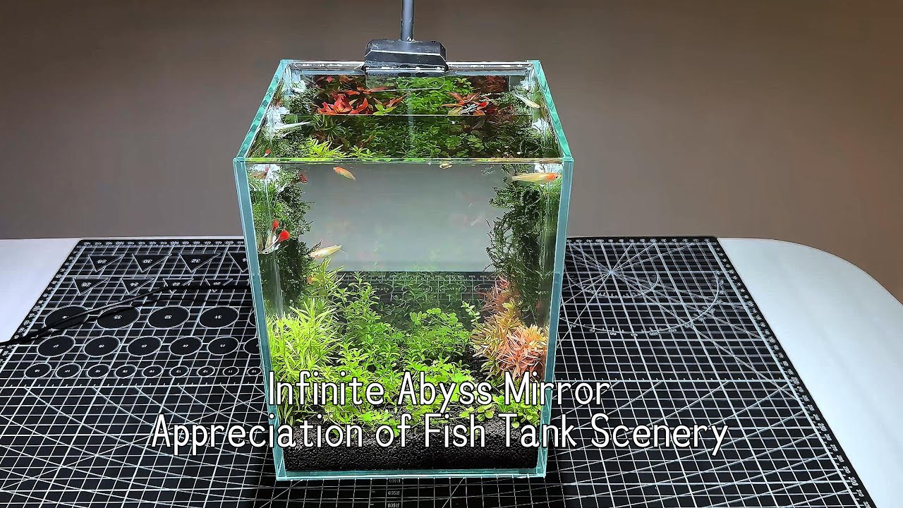 Infinite Abyss MirrorAppreciation of Fish Tank Scenery - YouTube