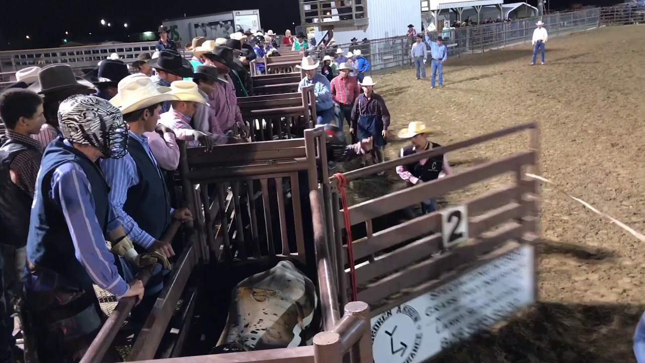 82. Frank Phillips College Rodeo - YouTube