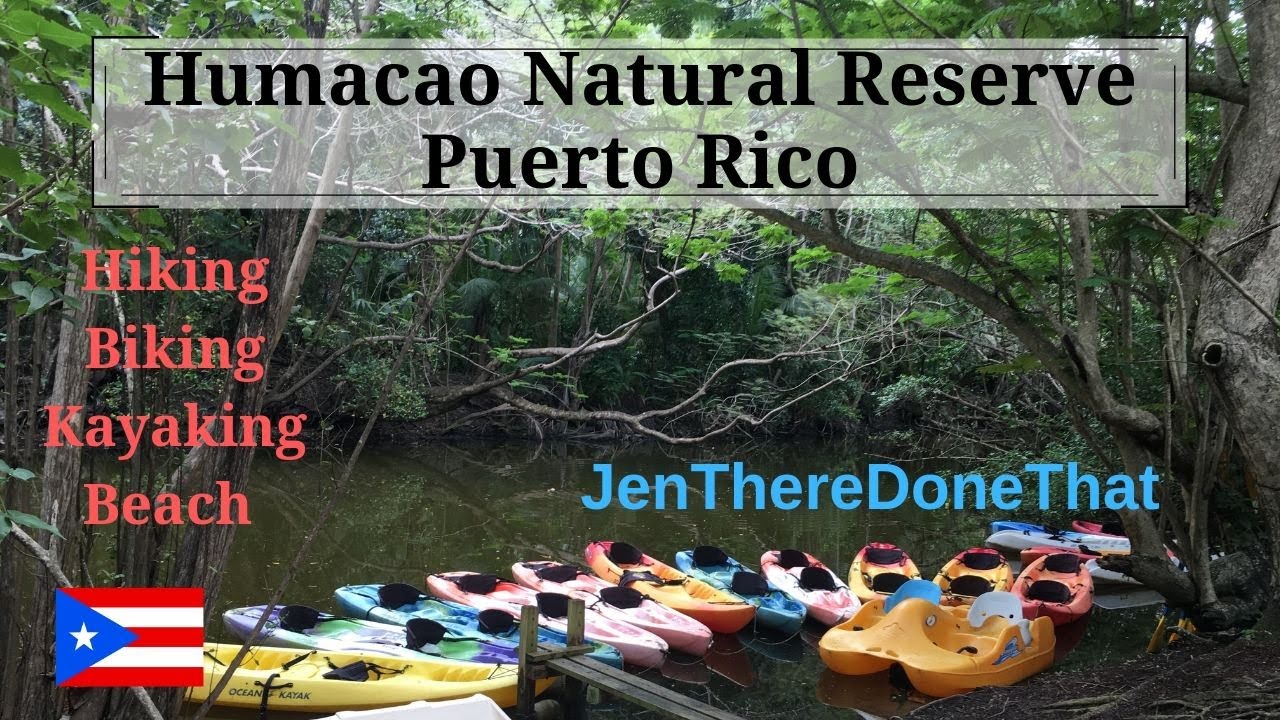 Humacao Natural Reserve | Puerto Rico | Easy Hike | Travel Activities ...