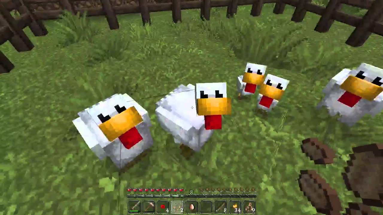 minecraft survival #4 veel kippen gevonden - YouTube