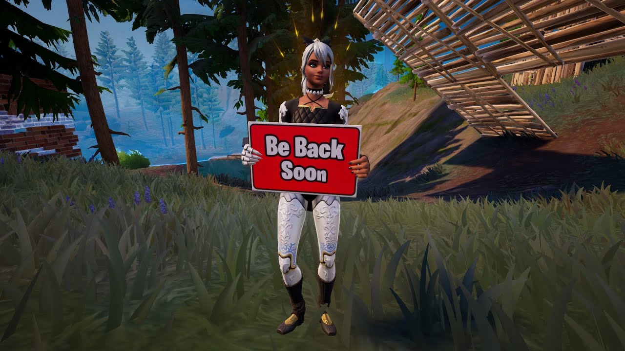 Perfect Execution Starter Pack gameplay Fortnite - YouTube