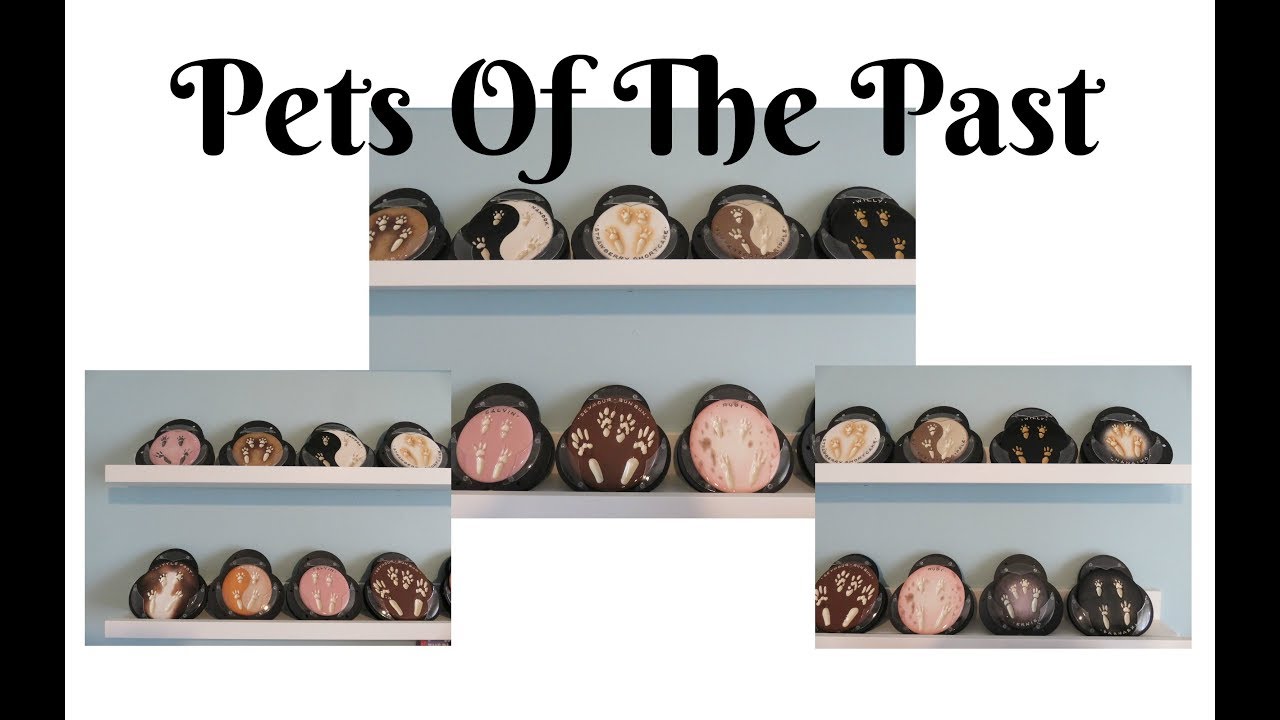 Paw Prints Display & Stories - YouTube